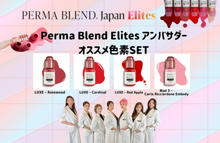 アートメイク色素のセット – PMU ink